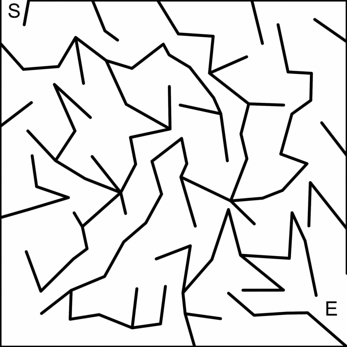 Puzzle Maker Pro - Mazes 2D Random Shapes - BookPublisherTools