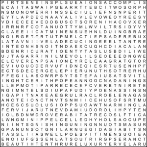 Puzzle Maker Pro - Zig Zag Word Search | BookPublisherTools