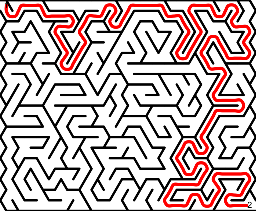 Puzzle Maker Pro - Geometric Mazes 2D | BookPublisherTools